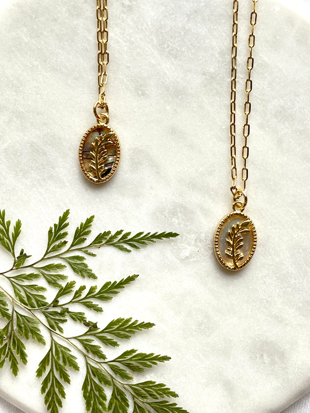 Indie South | Laurel Branch Shell Necklace